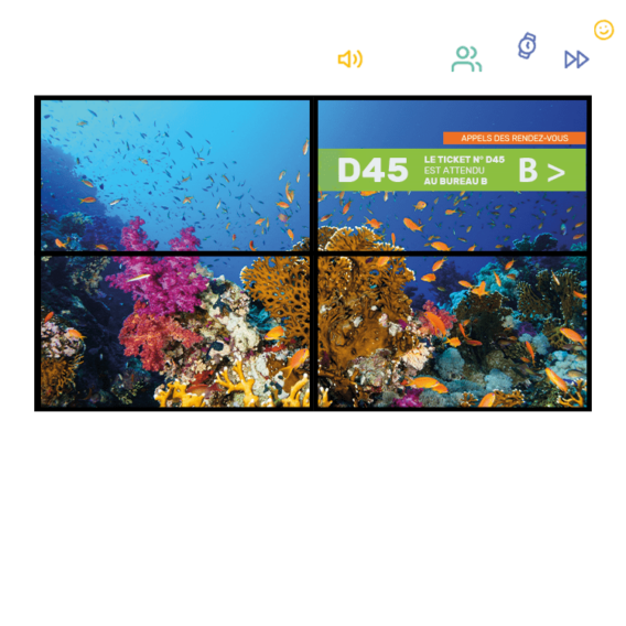 Video screens - ESII